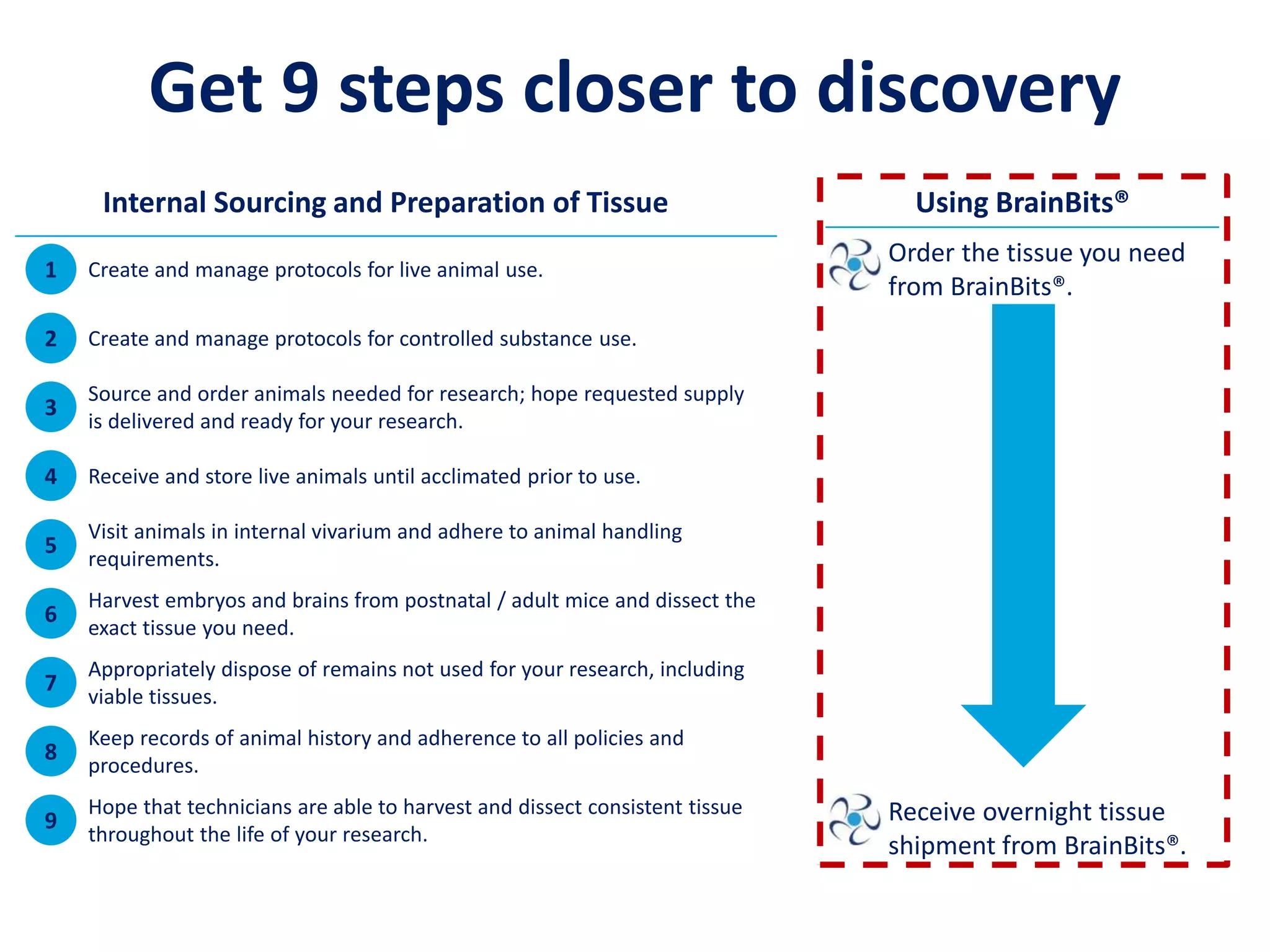 Brain bits® Overview | PPT