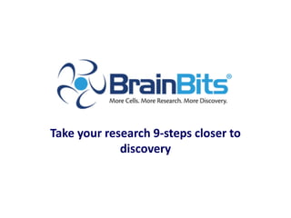Brain bits® Overview | PPT