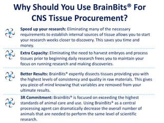 Brain bits® Overview | PPT