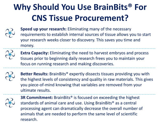 Brain bits® Overview | PPT