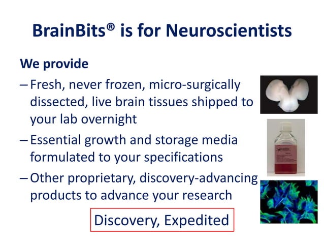 Brain bits® Overview | PPT