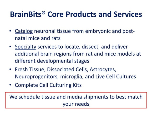 Brain bits® Overview | PPT