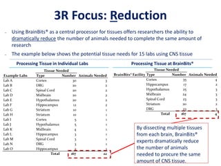 Brain bits® Overview | PPT