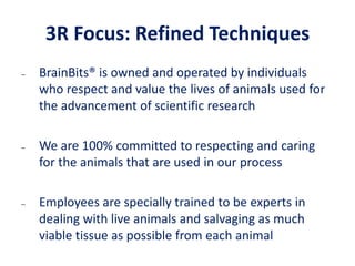 Brain bits® Overview | PPT