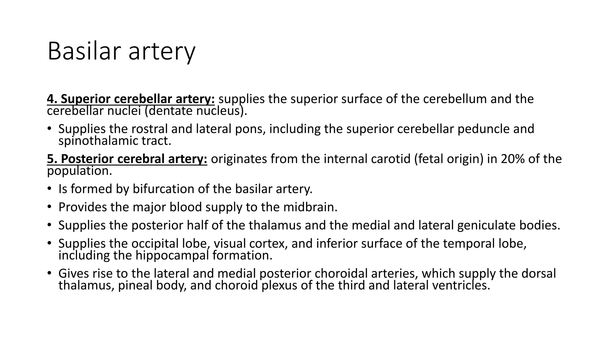 Brain blood supply | PPTX