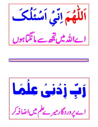 Brain booster urdu | PDF