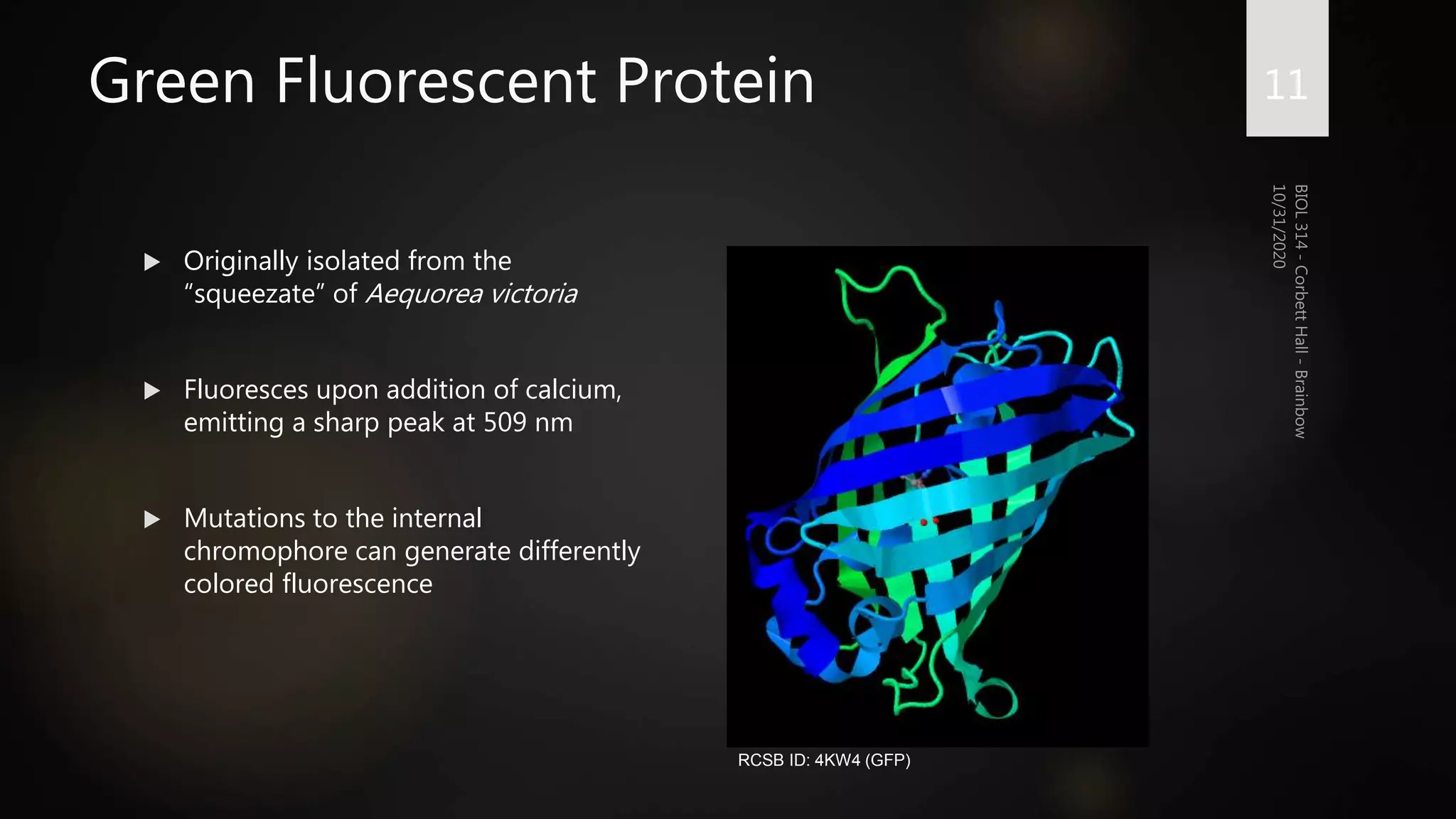 Brainbow - Combinatorial Fluorescent Protein Techniques to Map The Human Connectome | PPTX ...