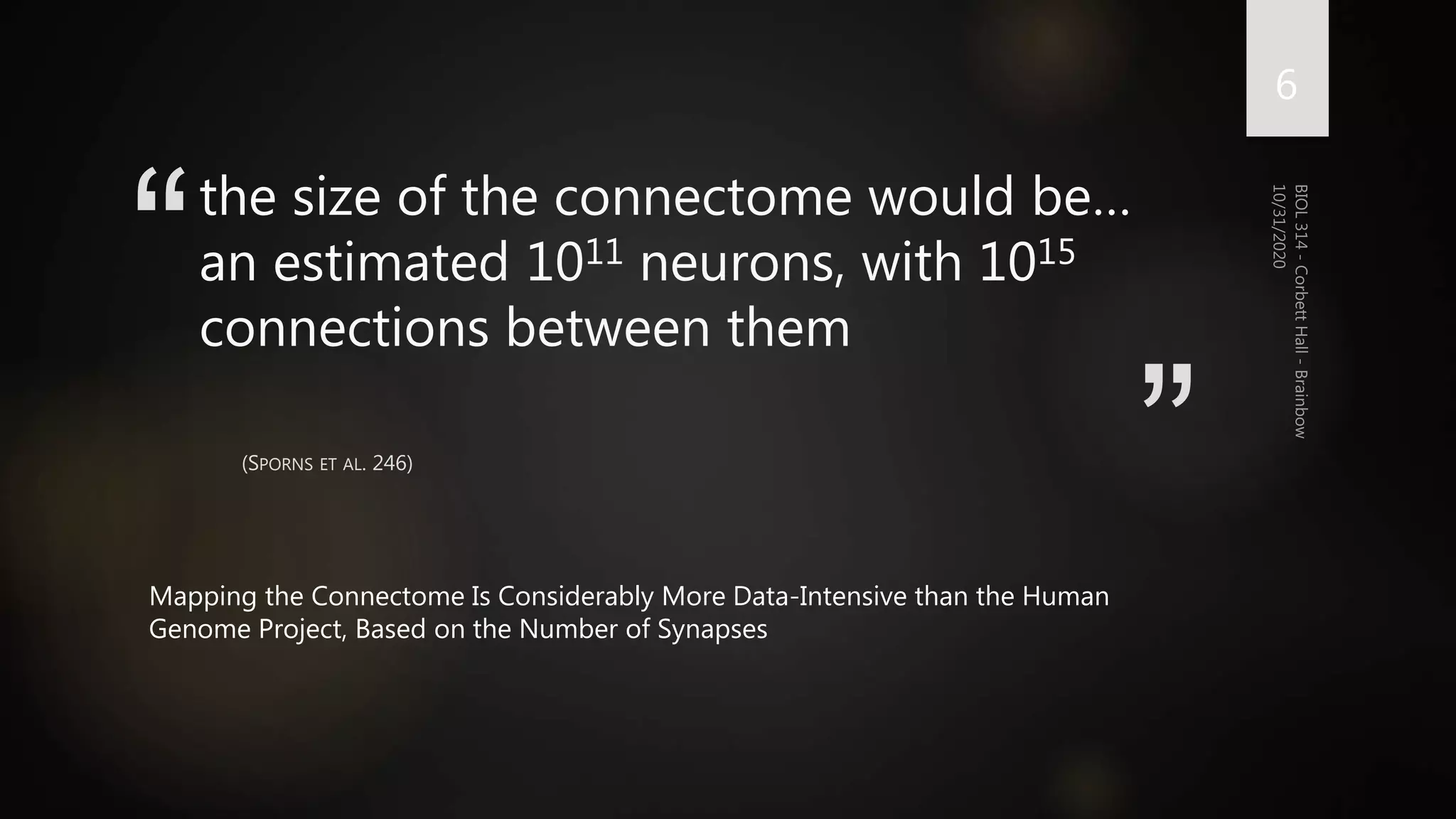 Brainbow - Combinatorial Fluorescent Protein Techniques to Map The ...