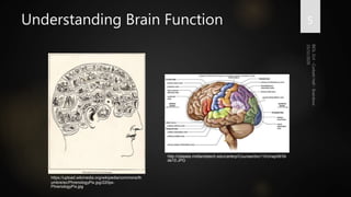 Brainbow - Combinatorial Fluorescent Protein Techniques to Map The ...