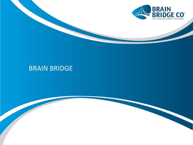 Brain Bridge | PPT