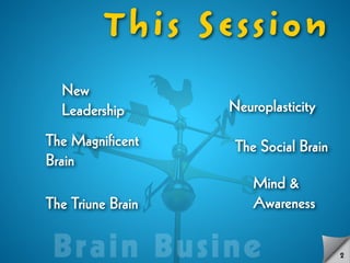 Brain business slides 080112 brain basics copy | PPT