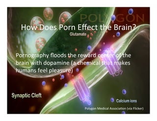 A Short Lesson on Brain chemistry | PDF