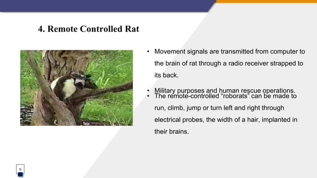 BrainChip_PPT shree utar gujrat cllllage.pptx