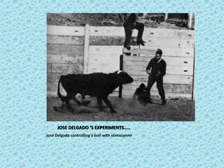 Brain chips ppt | PPTX