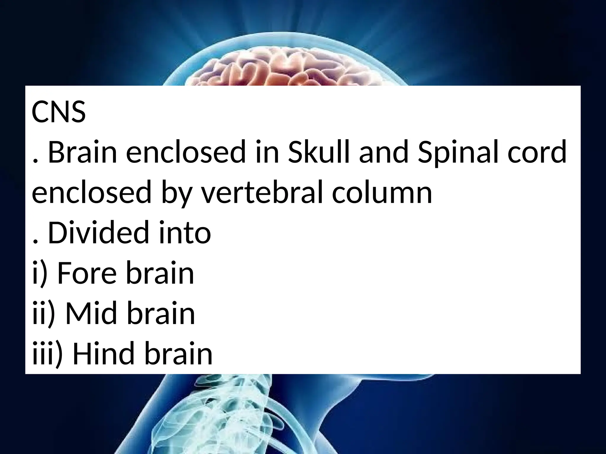 BRAIN structure and its function (class 10) | PPTX
