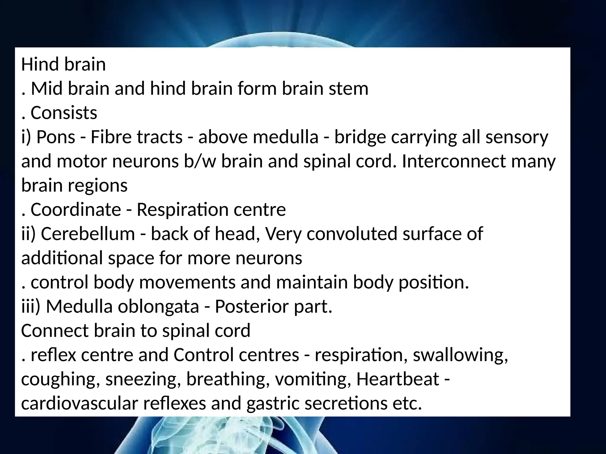 BRAIN structure and its function (class 10) | PPTX