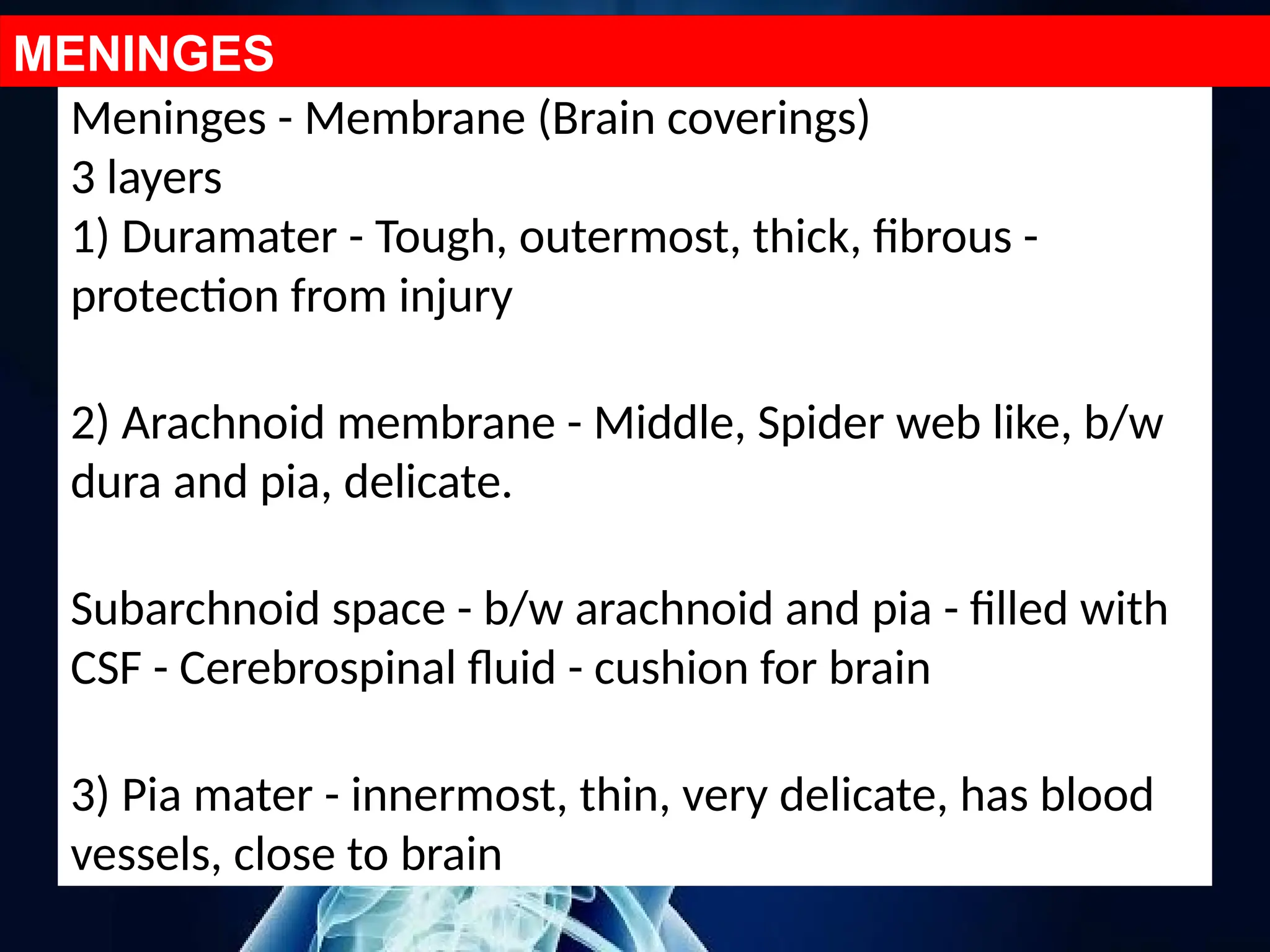 Brain Structure And Its Function Class 10 Pptx Brain And Nervous