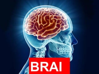 BRAIN structure and its function (class 10) | PPTX