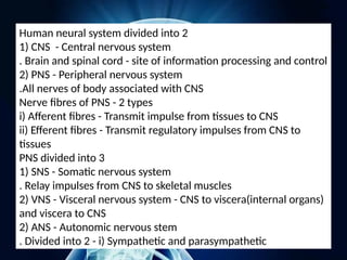 BRAIN structure and its function (class 10) | PPTX | Brain and Nervous ...