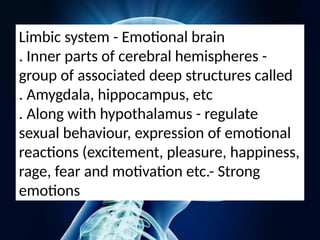 BRAIN structure and its function (class 10) | PPTX