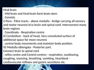 BRAIN structure and its function (class 10) | PPTX | Brain and Nervous ...