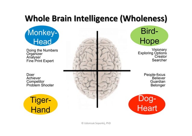 BrainCompass Solution English by Dr.Udomsak Soponkij | PPT