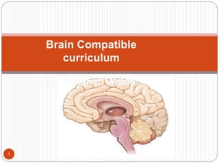 Brain compatible curriculum | PPTX