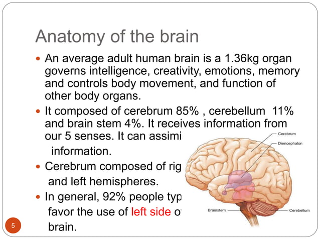 Brain compatible curriculum | PPTX