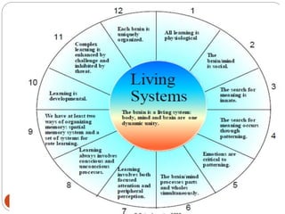 Brain compatible curriculum | PPTX