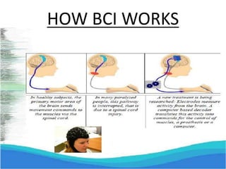 Brain computer interface | PPTX