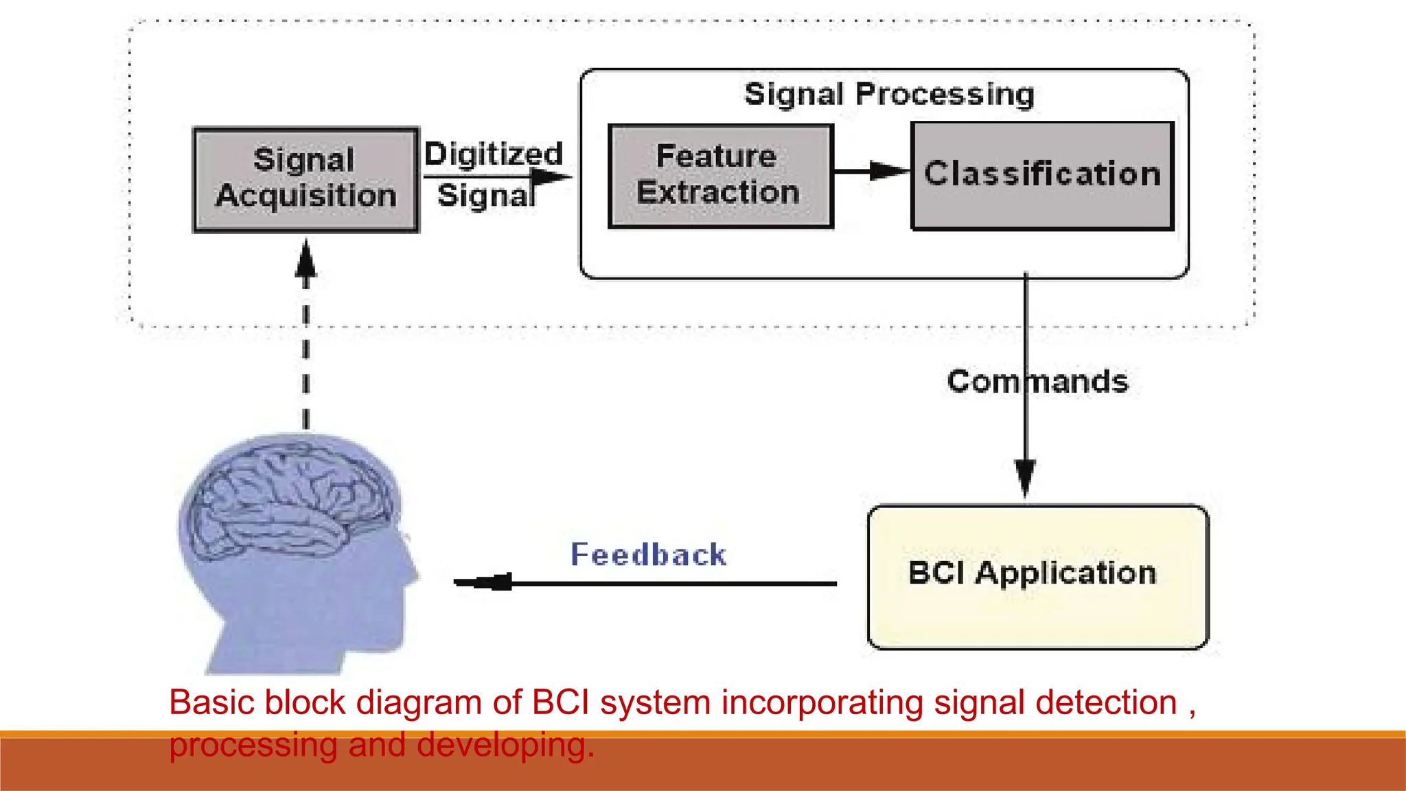 Brain computer interface and System.pptx