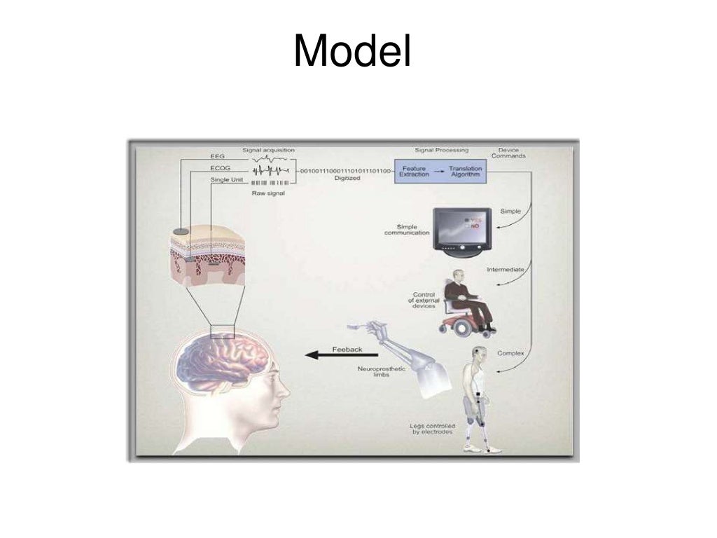 Brain computer interfaces