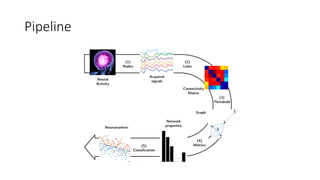 Brain connectivity analysis | PDF