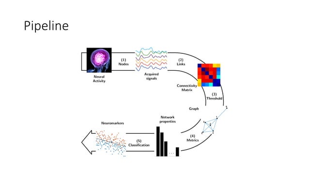 Brain Connectivity Analysis Pdf