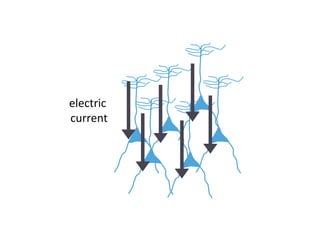 EEG signal background and real-time processing | PPTX