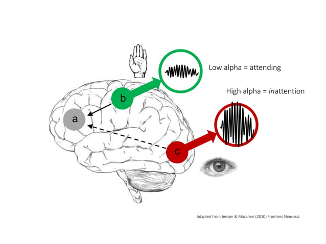 EEG signal background and real-time processing | PPT