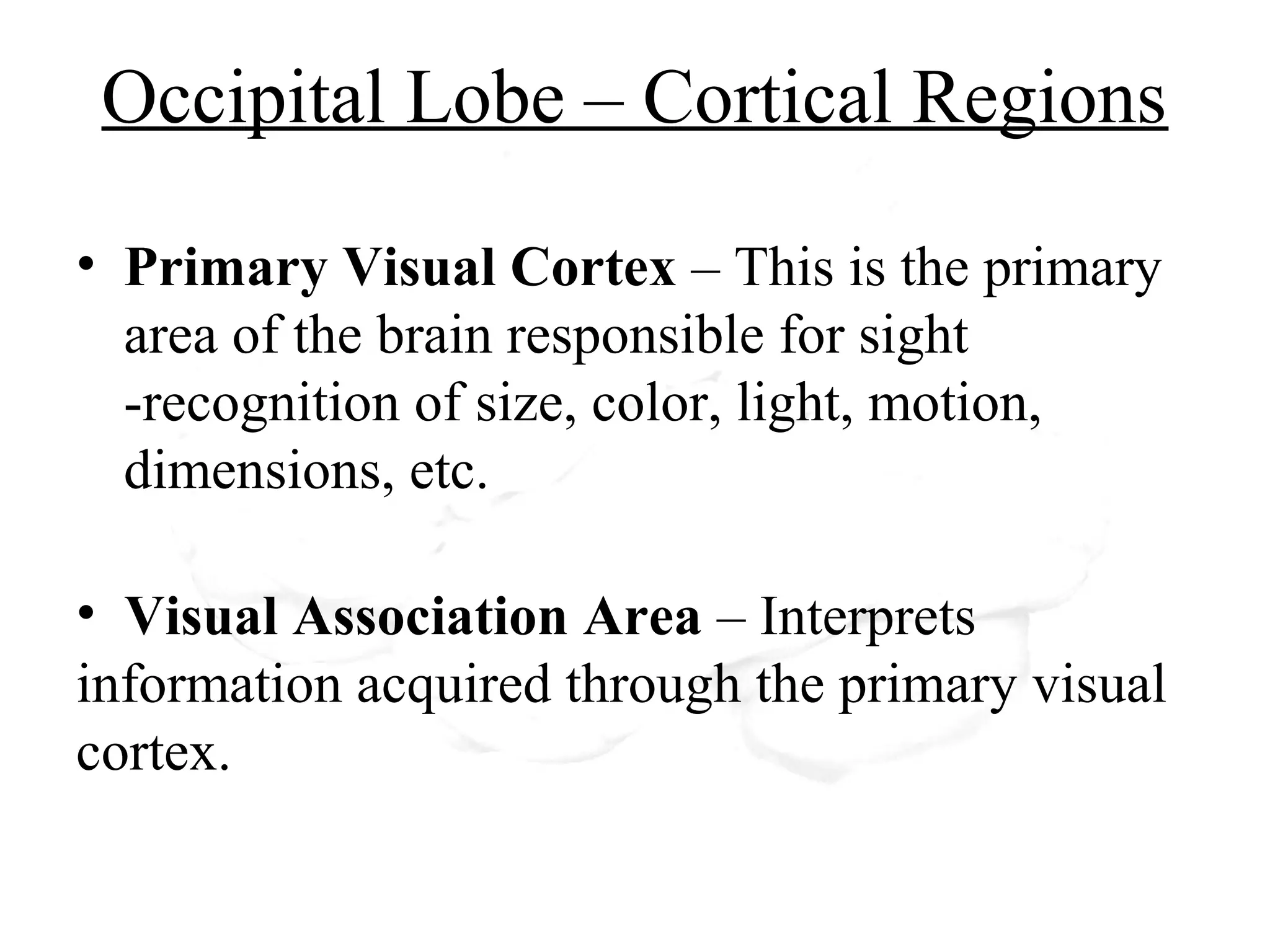 Brain cortical regions and functions | PPT