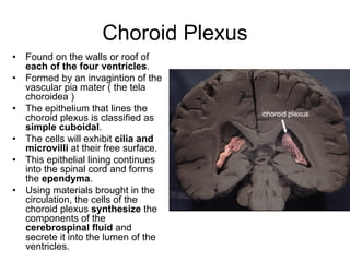 brain and cranial nerve | PPT