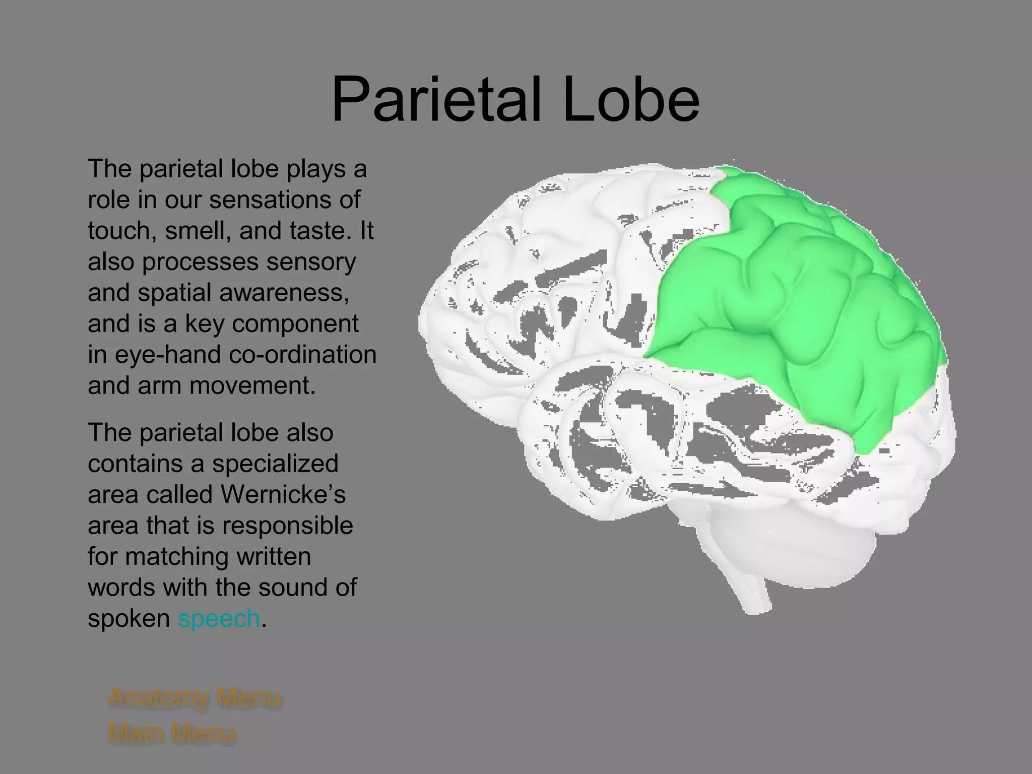 Brain CT Anatomy and Basic Interpretation Part I | PPT