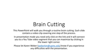 brain_cutting_youtube_links.pptx