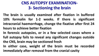 Brain cut up for the general pathologist | PPT | Death, Injury, or ...