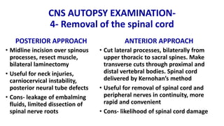 Brain cut up for the general pathologist | PPT