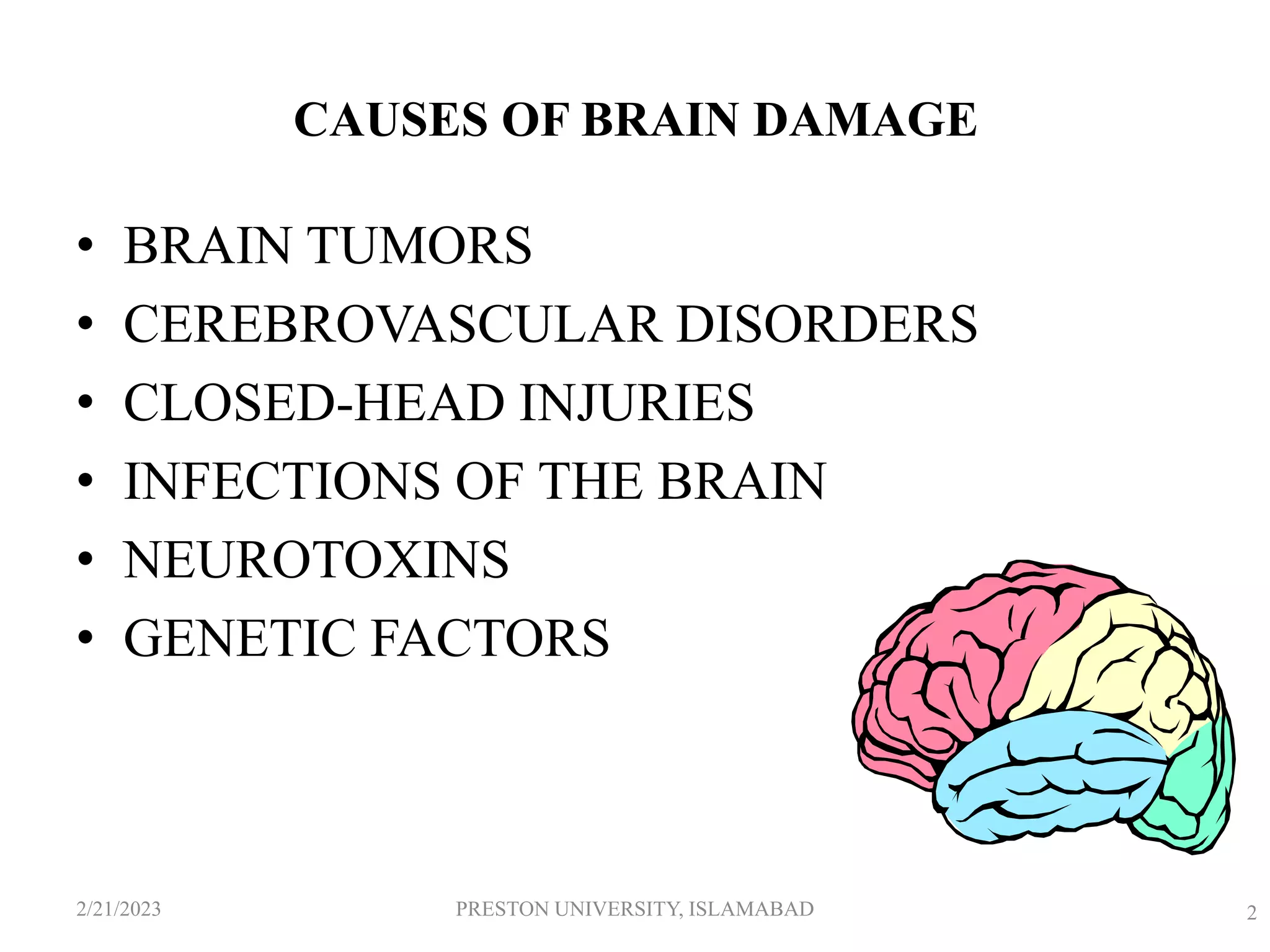 Brain Damage.pptx