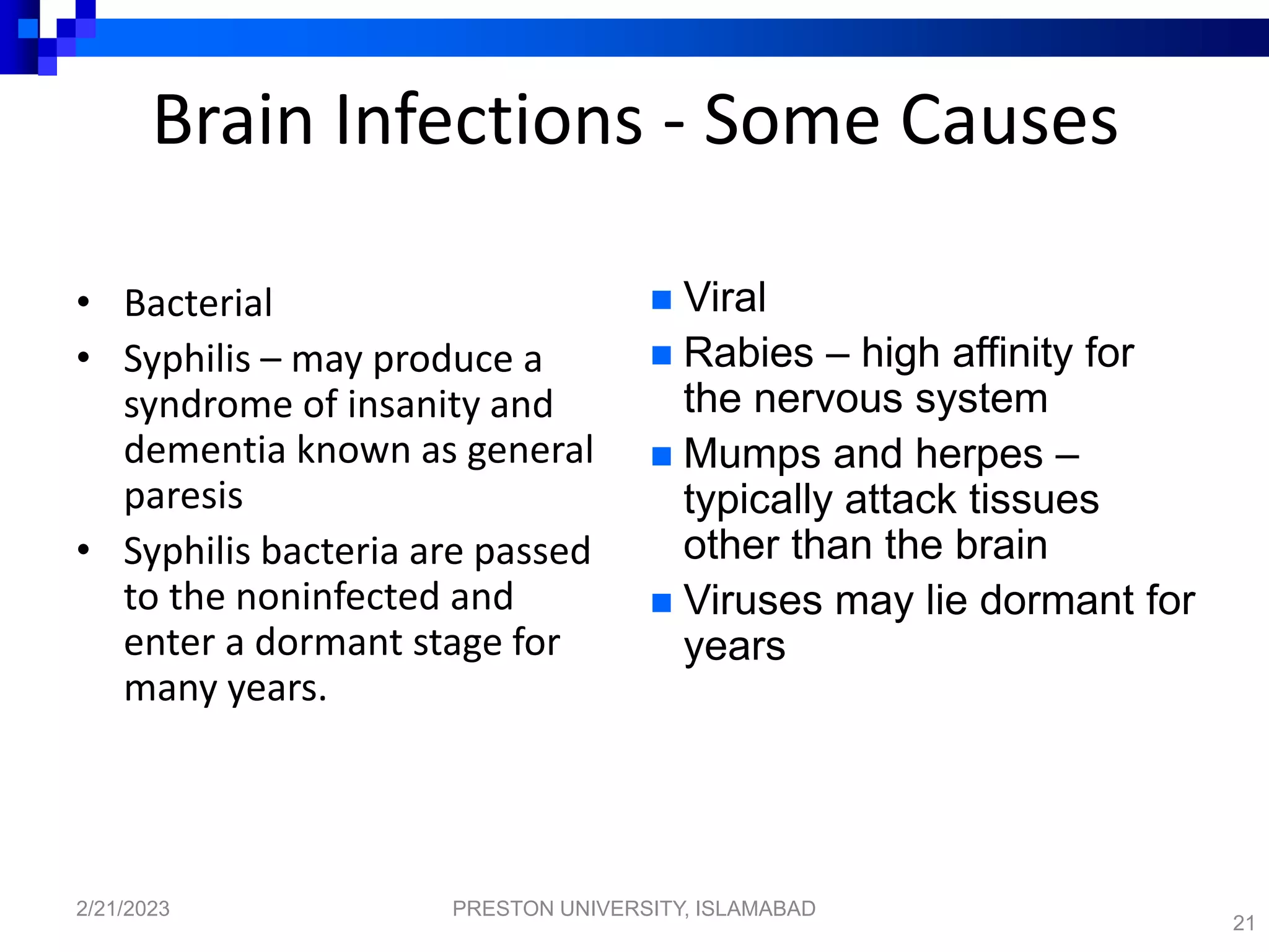 Brain Damage.pptx