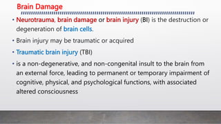 Brain Damage [The Complete Picture] | PPT