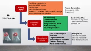 Brain Damage [The Complete Picture] | PPTX
