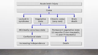Brain Damage [The Complete Picture] | PPTX