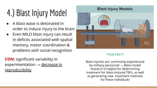 Brain Damage in Animals | PPT