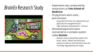 Brain Damage in Animals | PPT