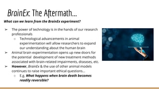 Brain Damage in Animals | PPT